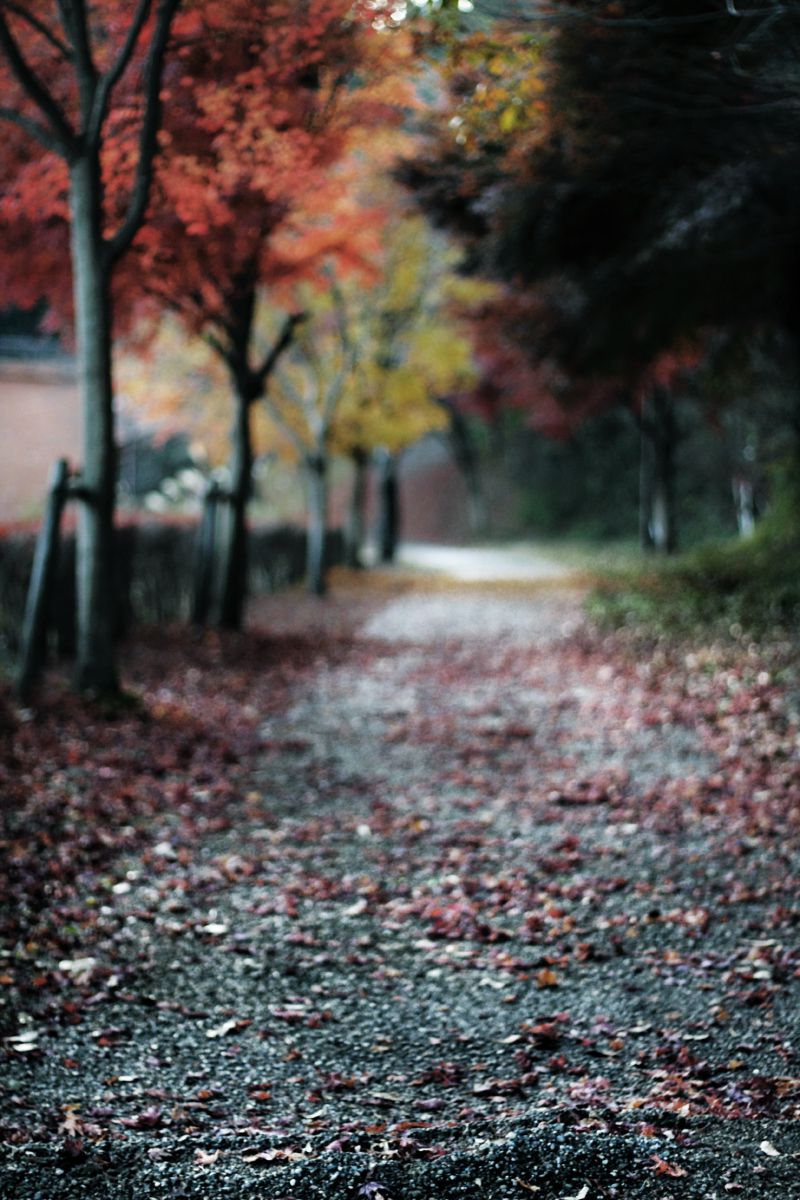 late in autumn | GANREF
