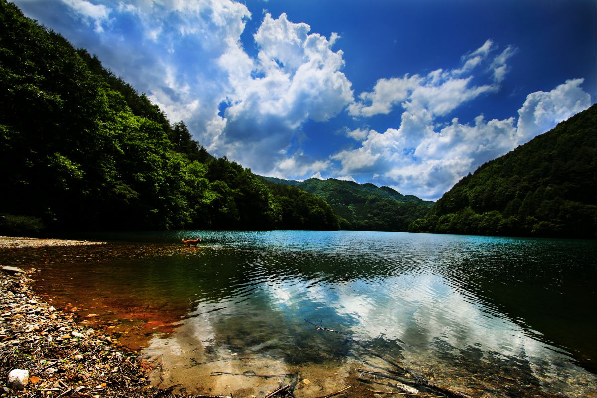 in the open air | GANREF