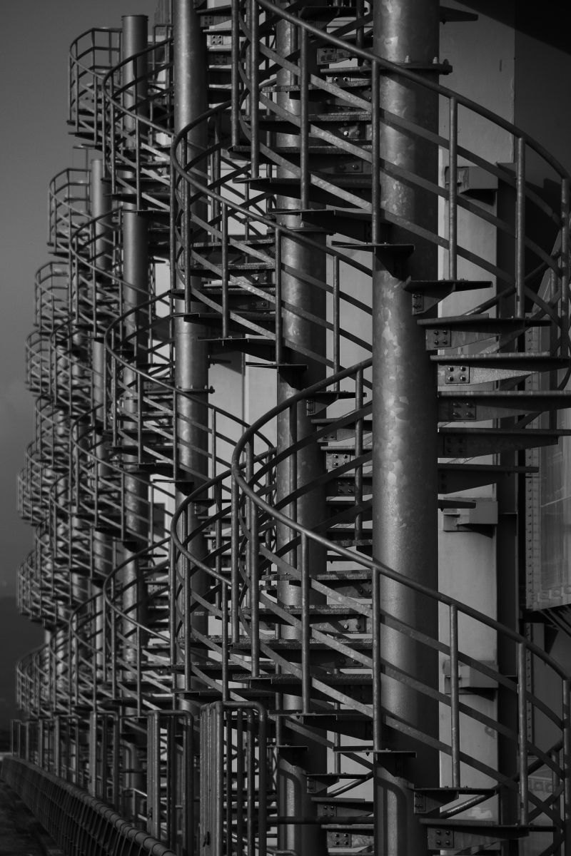 Linear beauty | GANREF