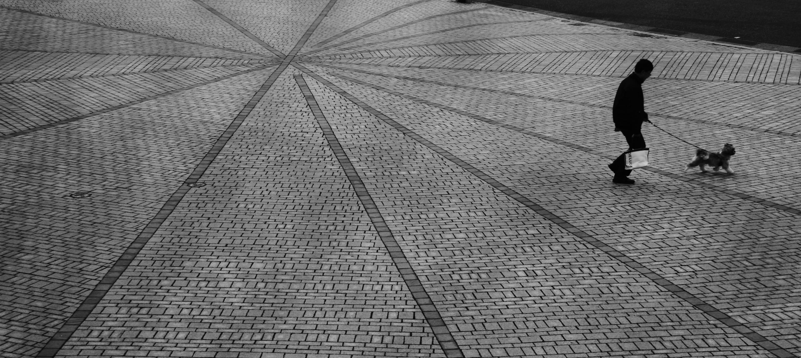 out of cage | GANREF