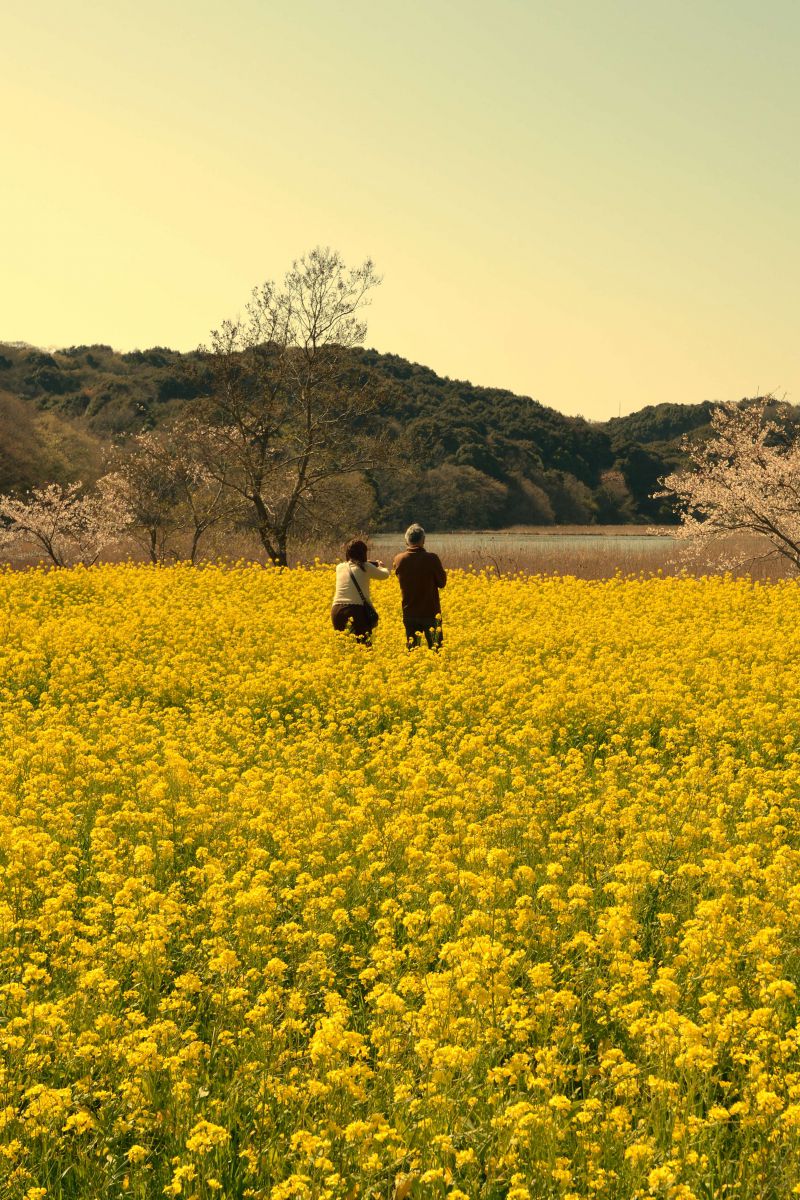 これからも君と、ずっと | GANREF