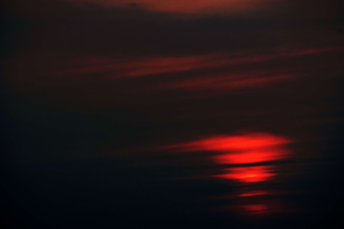 flame in the dark | GANREF