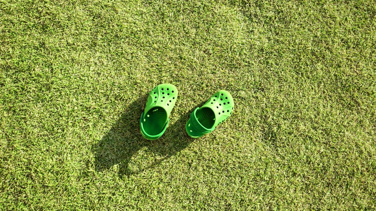 Green on Grass | GANREF