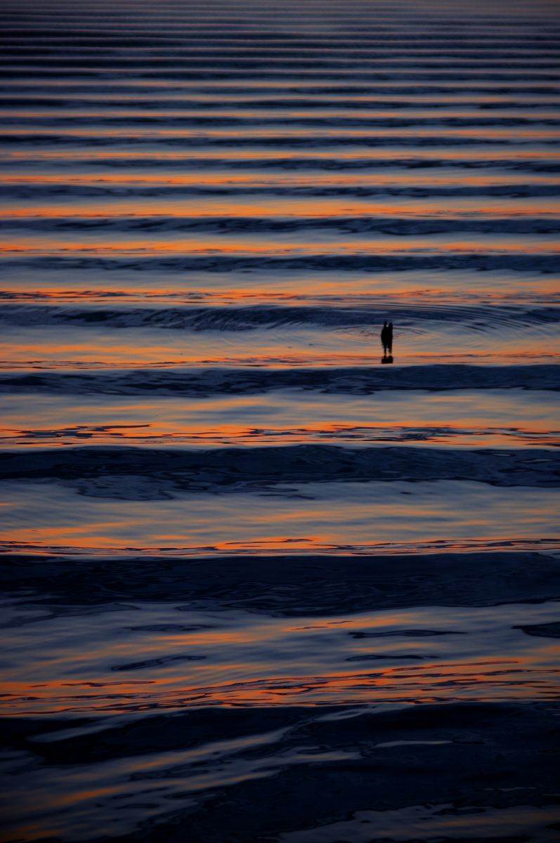 『an endless wave』 | GANREF