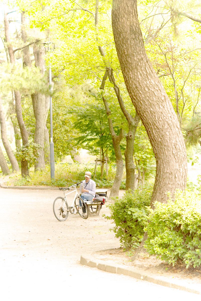 『Green note♪』 | GANREF