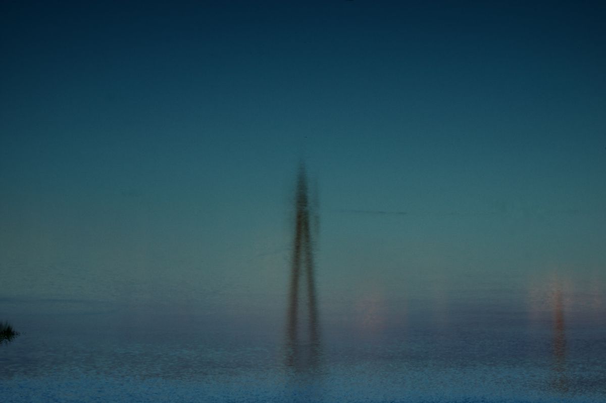 『illusion』 | GANREF