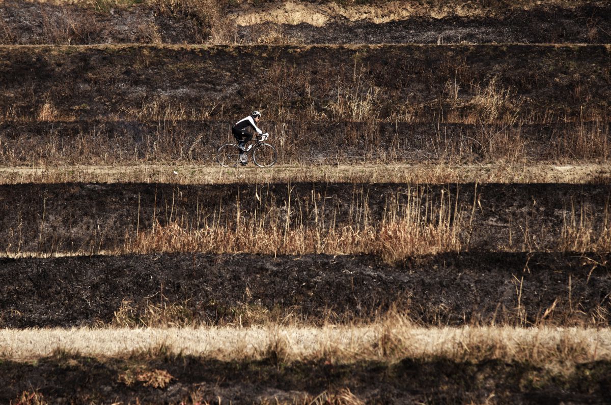 『the wall』 | GANREF