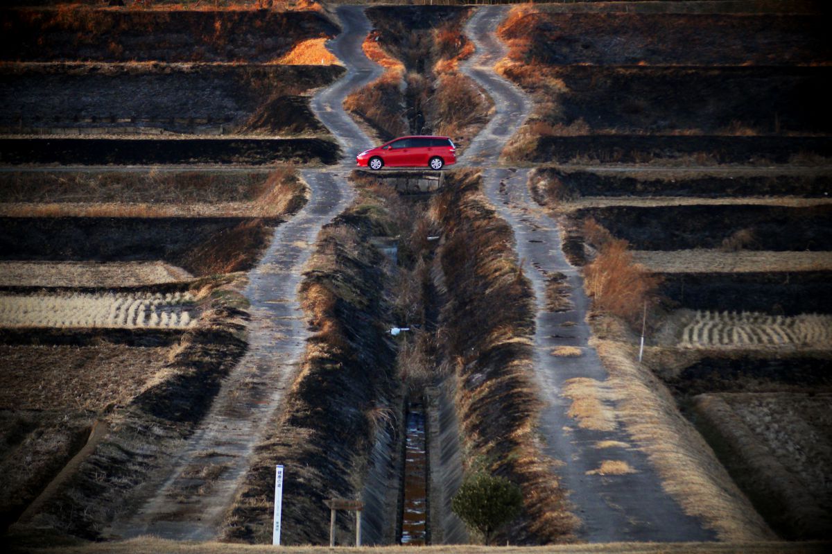 『vivid』 | GANREF