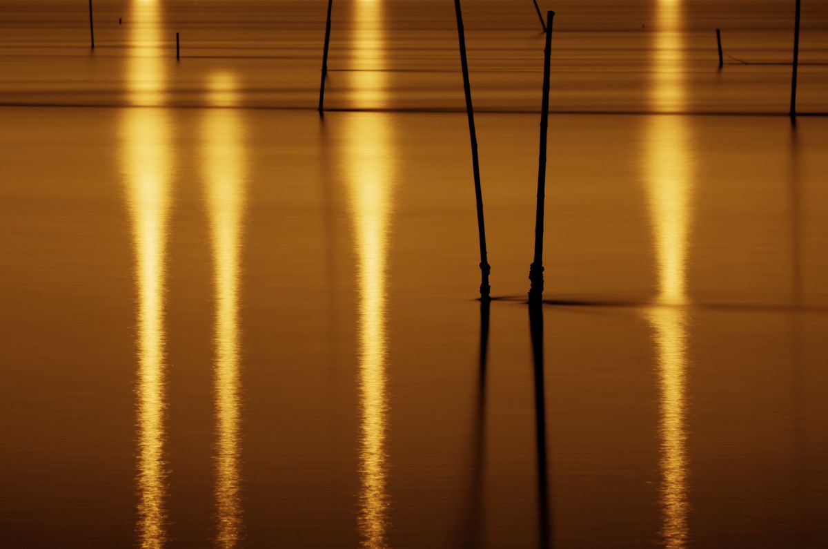 『Lighting』 | GANREF