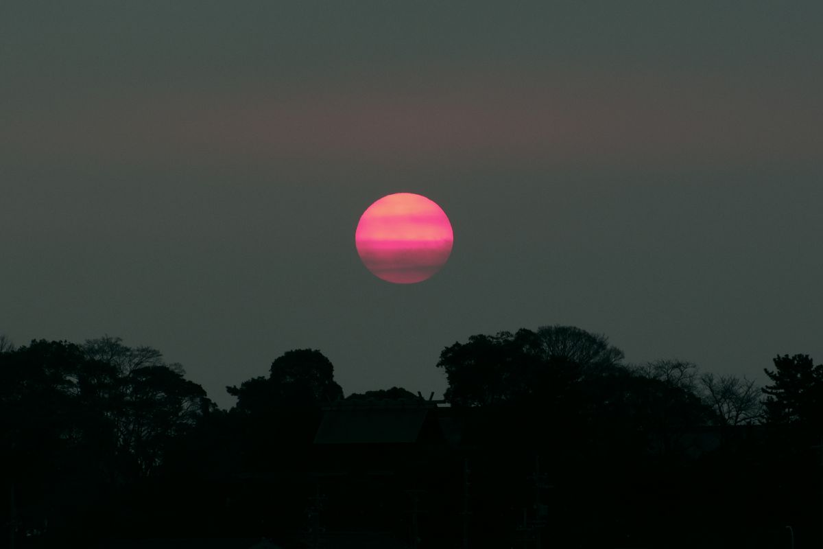 『Jupiter』 | GANREF