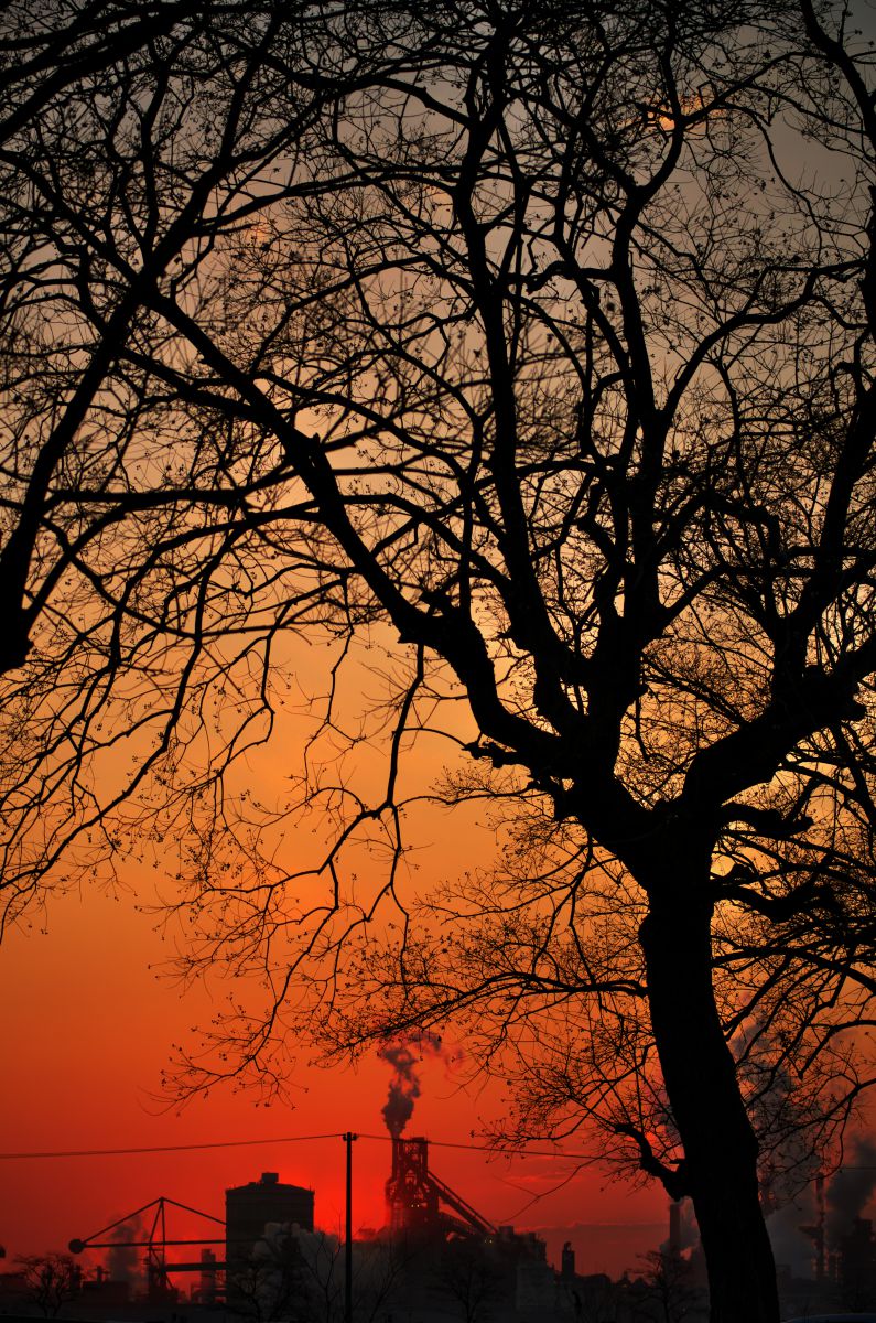 『Hot Morning』 | GANREF