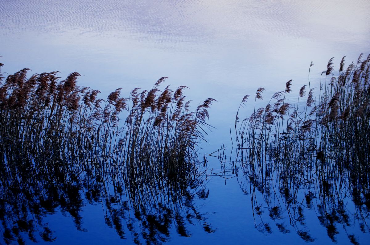 『Winter blue』 | GANREF