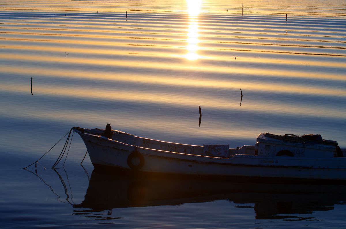 『sunlit wave』 | GANREF