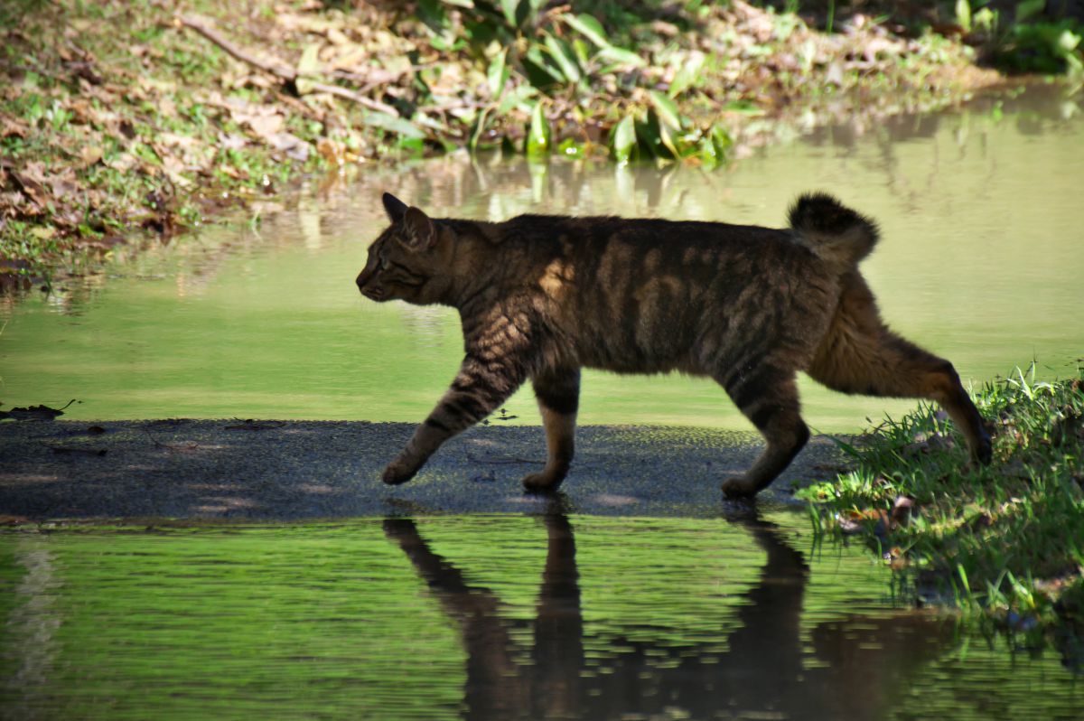 『one step』 | GANREF