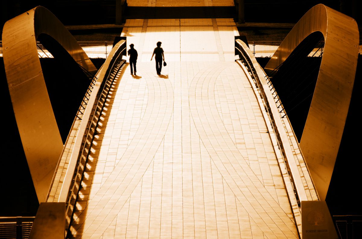 『Golden Bridge』 | GANREF