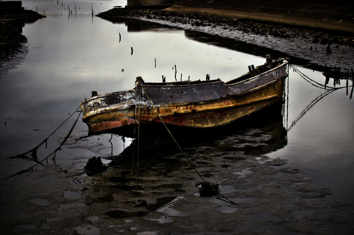 『Damp air』 | GANREF