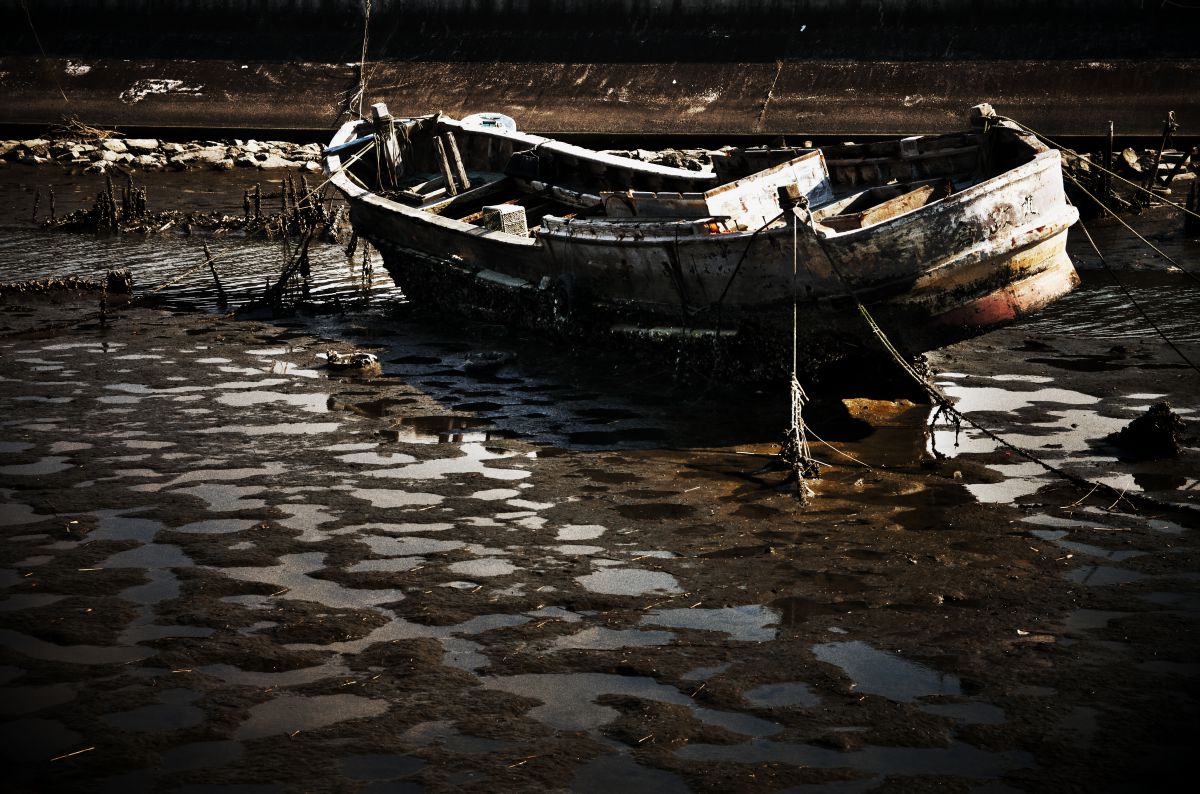 『Dignity』 | GANREF