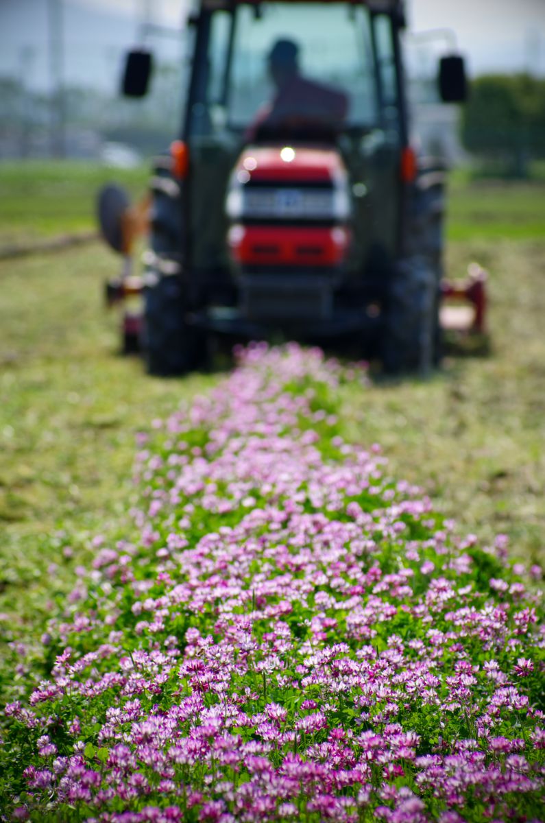 『最後の最後』 | GANREF