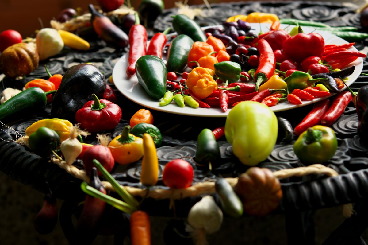 『colorful pepper』 | GANREF