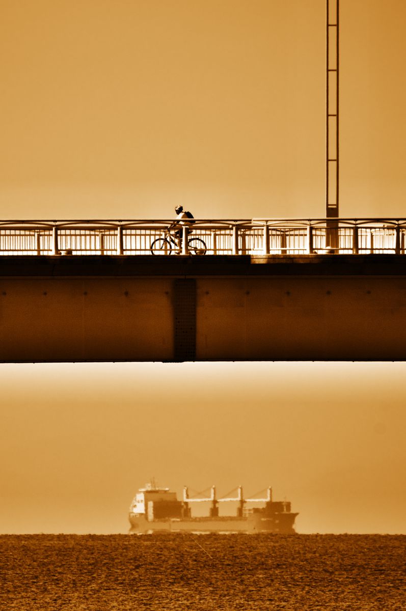 『half-framed』 | GANREF