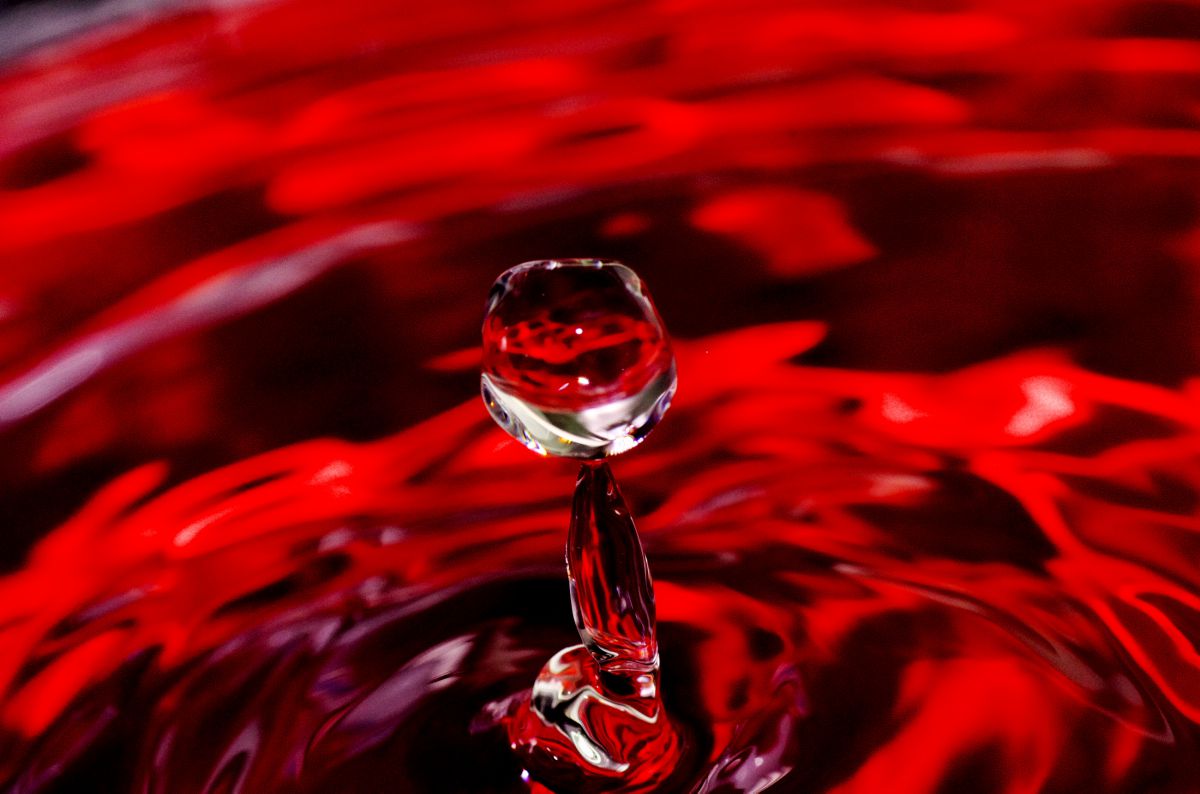 『Impact！』 | GANREF