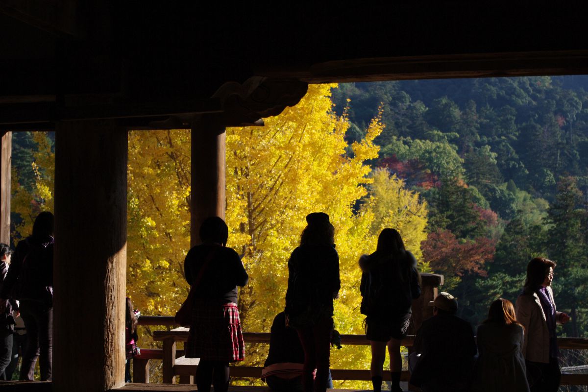 黄色が好きなんです。 | GANREF