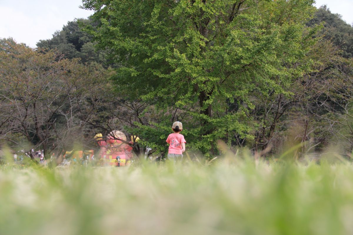 Going My Way.JPG | GANREF