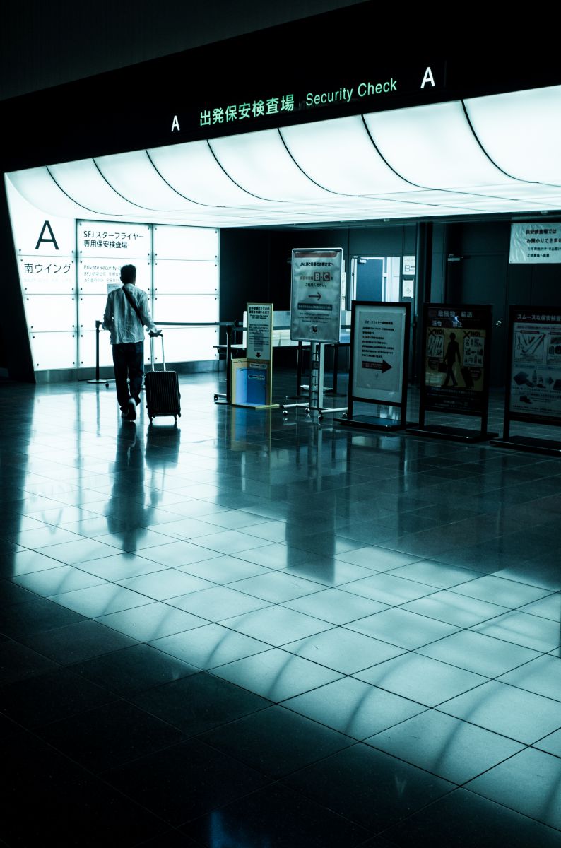 The Last Flight | GANREF