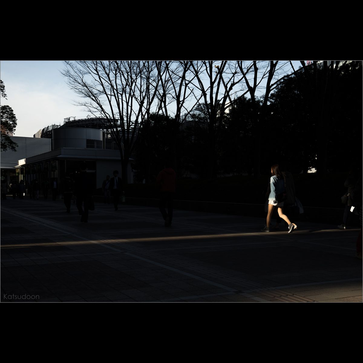 shade snap #10 | GANREF