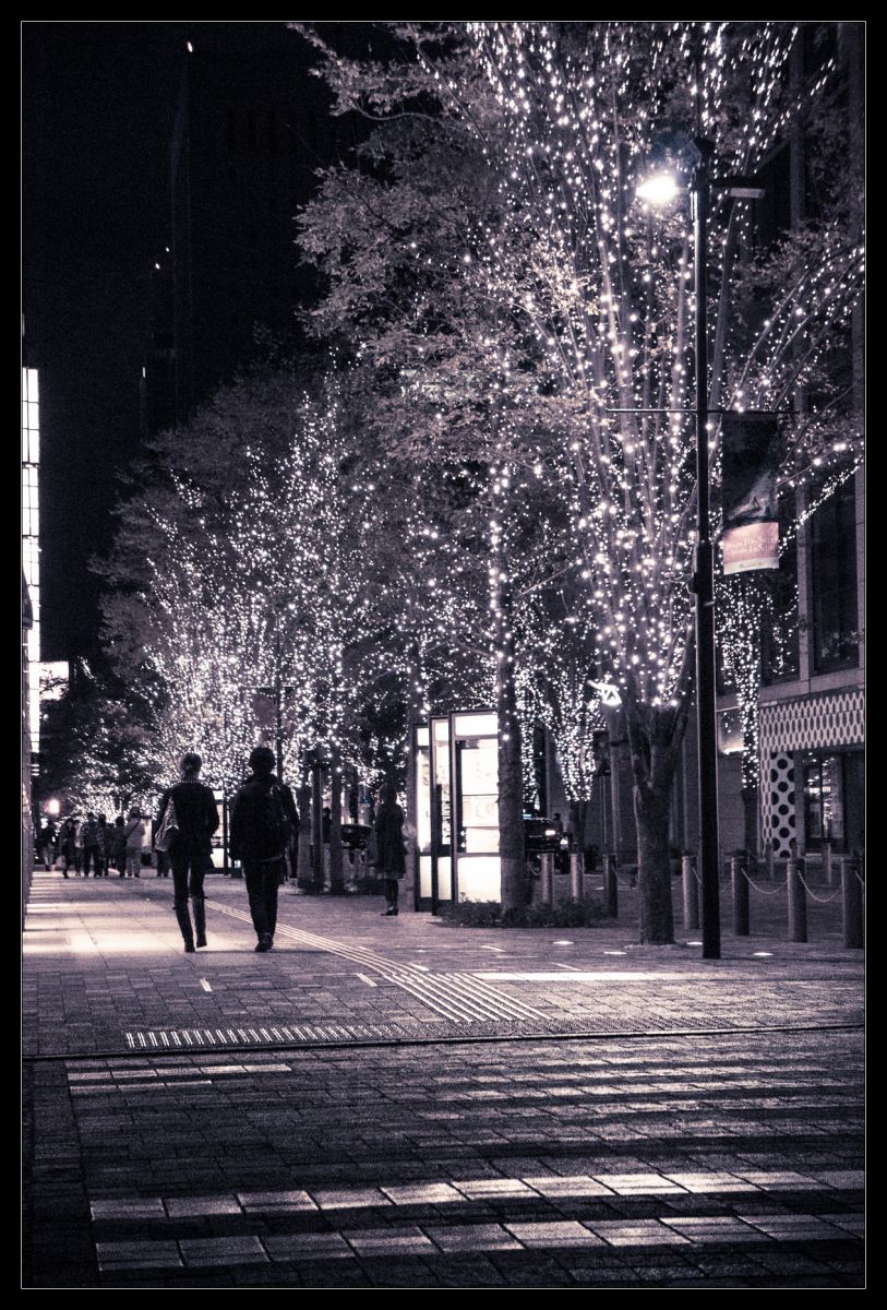 Cold Night, Warm Lights | GANREF