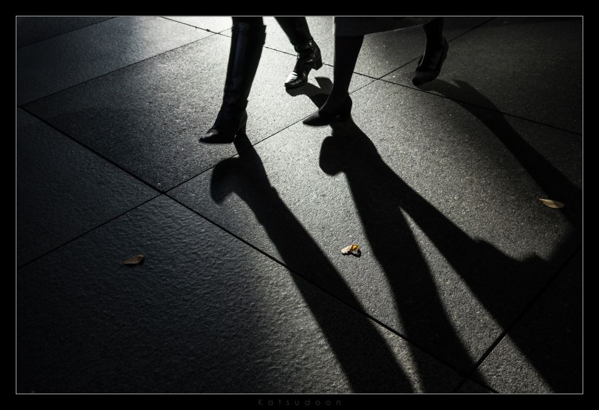 shade snap#4 | GANREF