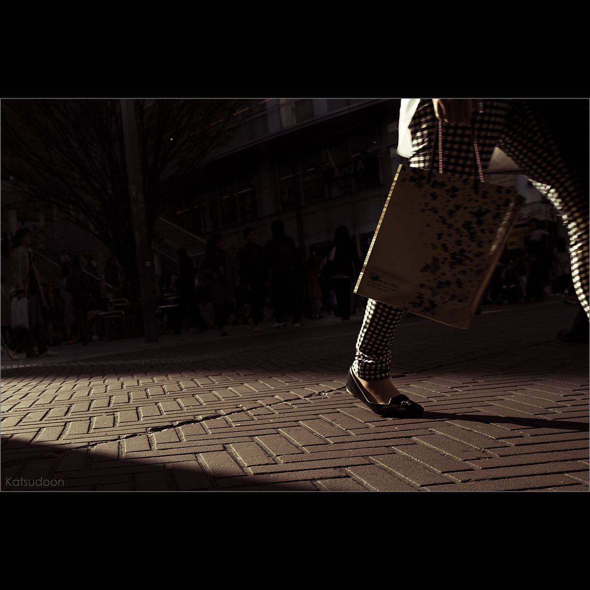 shade snap #12 | GANREF