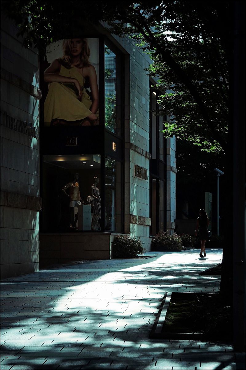 summer feeling | GANREF