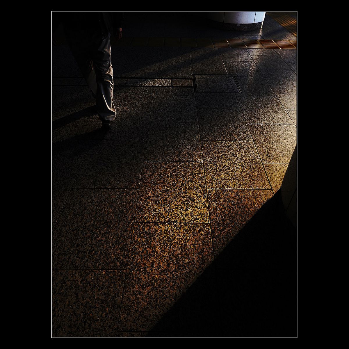 shade snap## | GANREF