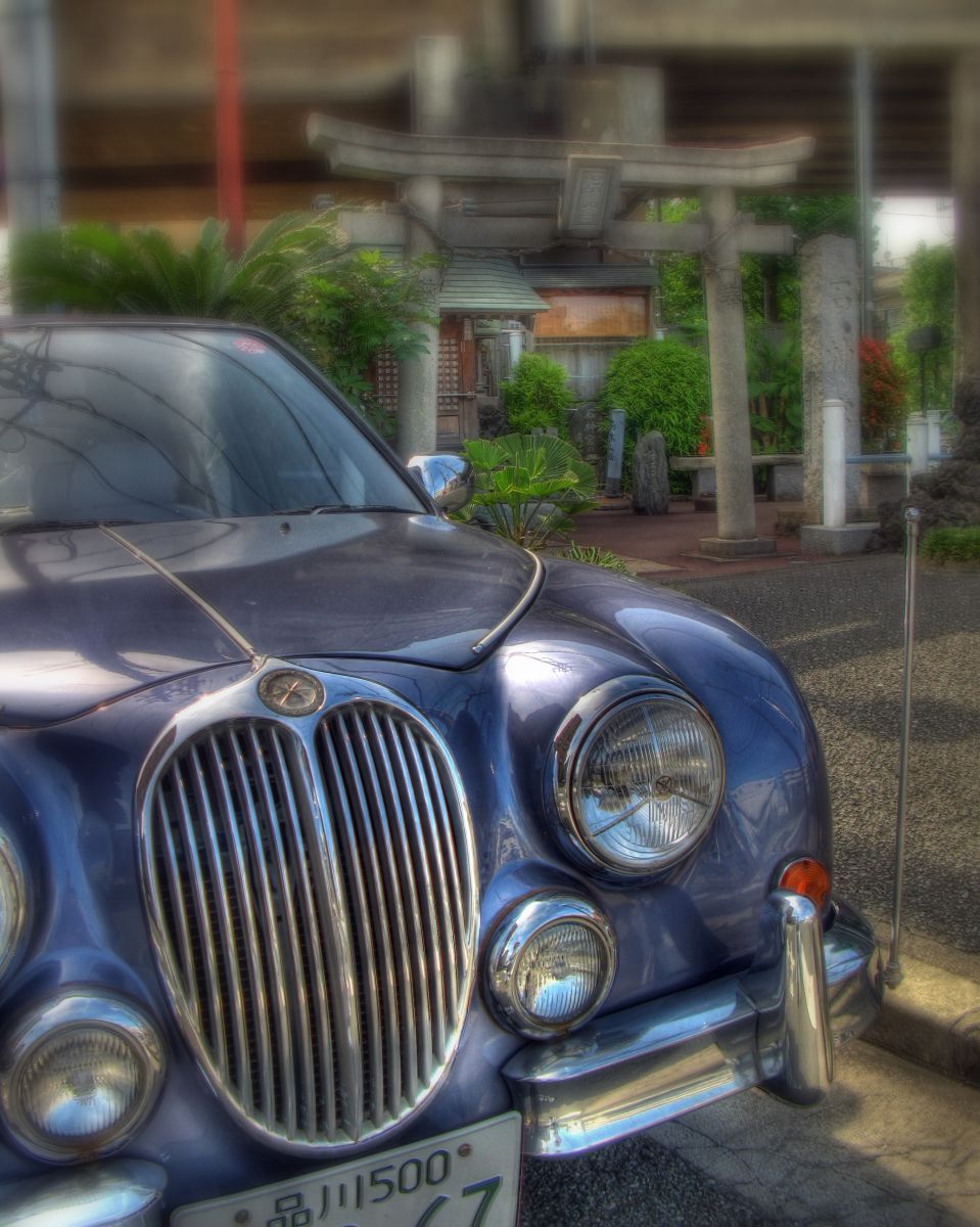 Old Fashion | GANREF