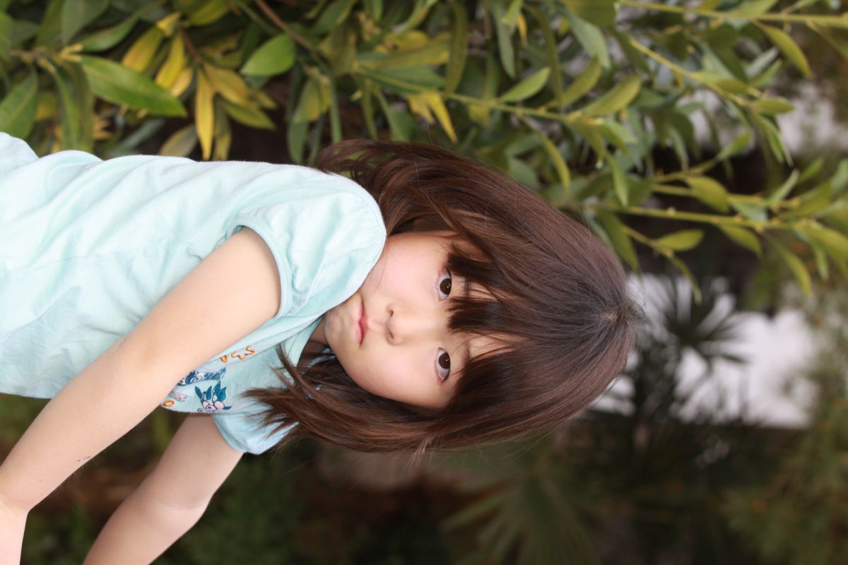 IMG_9782.JPG | GANREF