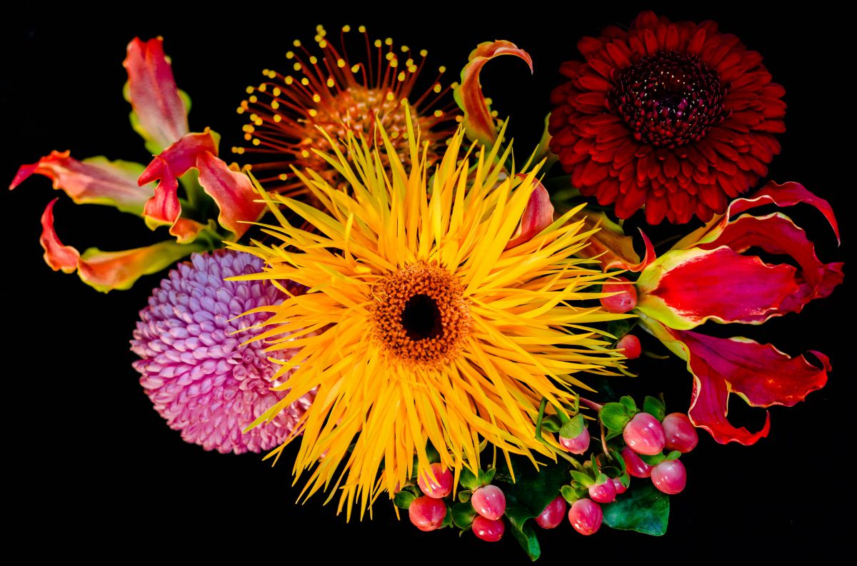 virtual bouquet 1 | GANREF