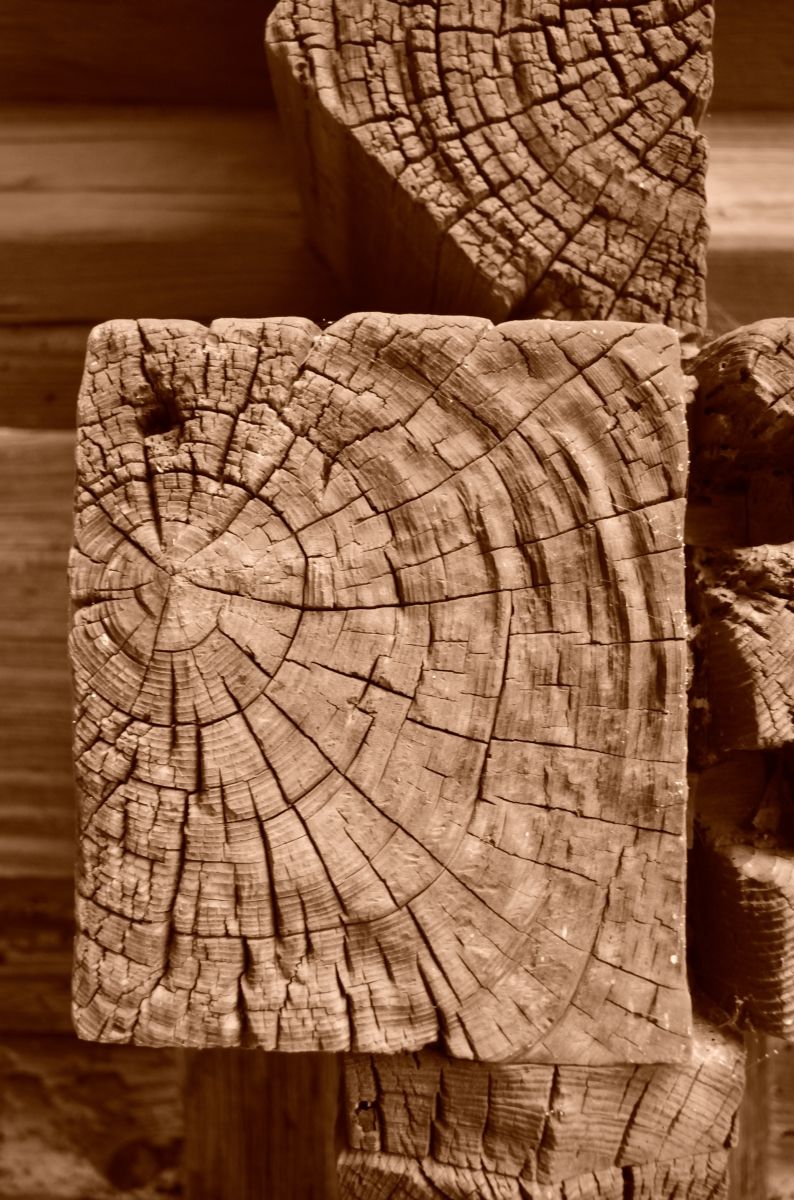 時の流れ | GANREF