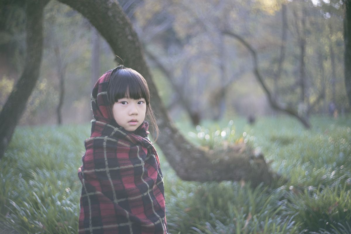 Little Plaid Riding Hood | GANREF