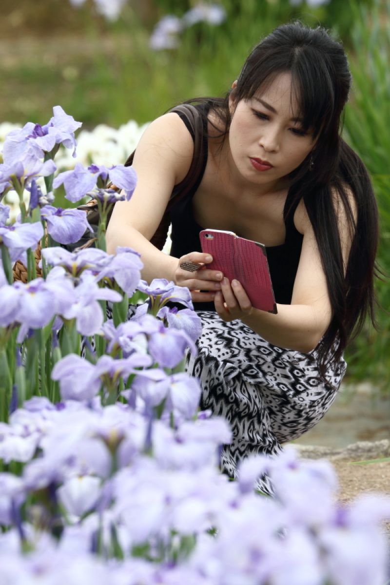 花を撮るひと | GANREF