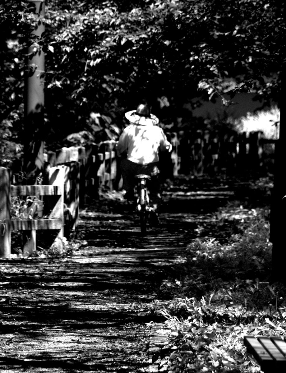 父は行く...～モノクロver～ | GANREF