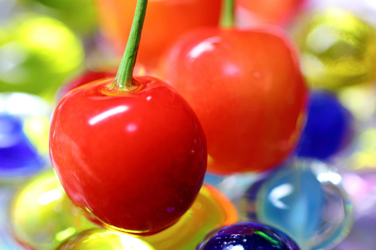 Summer gift | GANREF