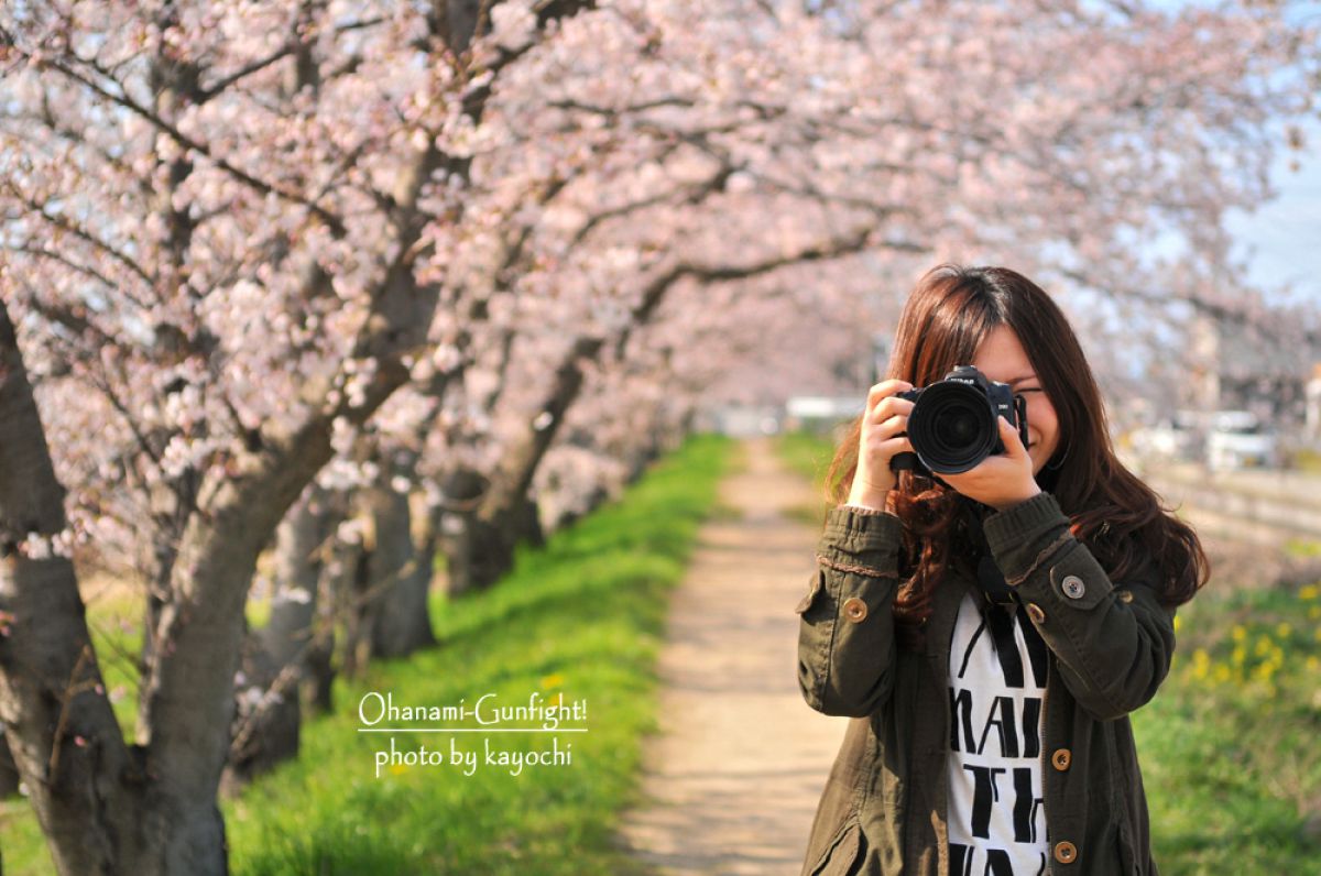 Ohanami-Gunfight! | GANREF