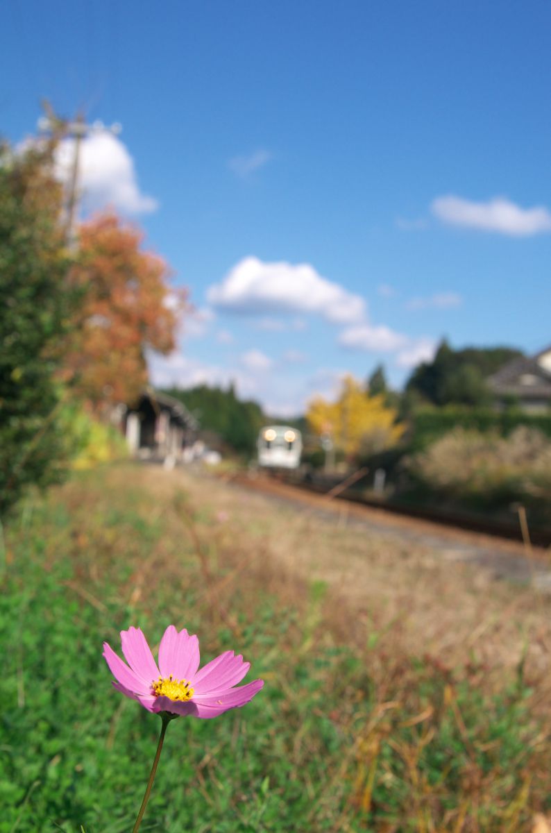 ささやかに… | GANREF