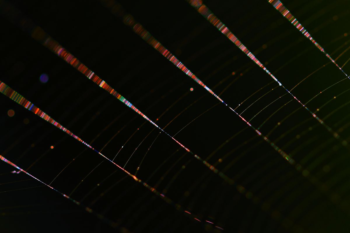 multi stripe | GANREF