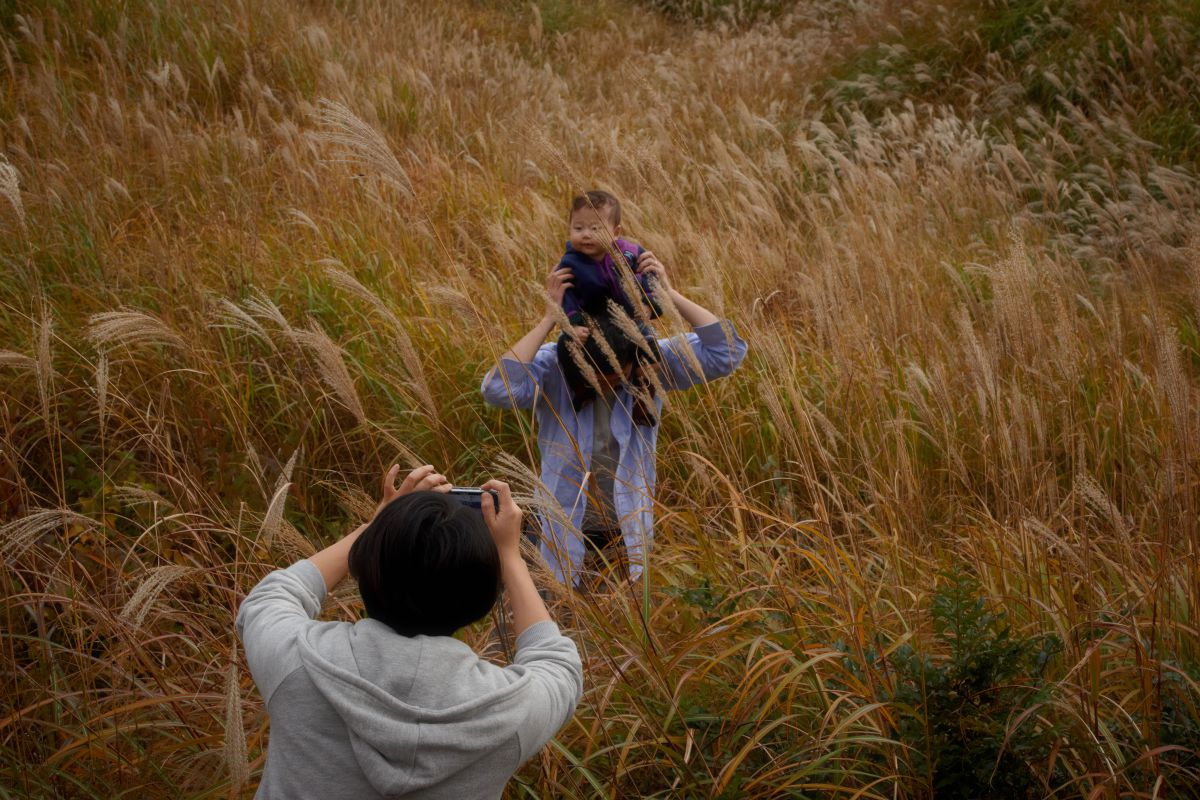 パパとススキと秋と | GANREF