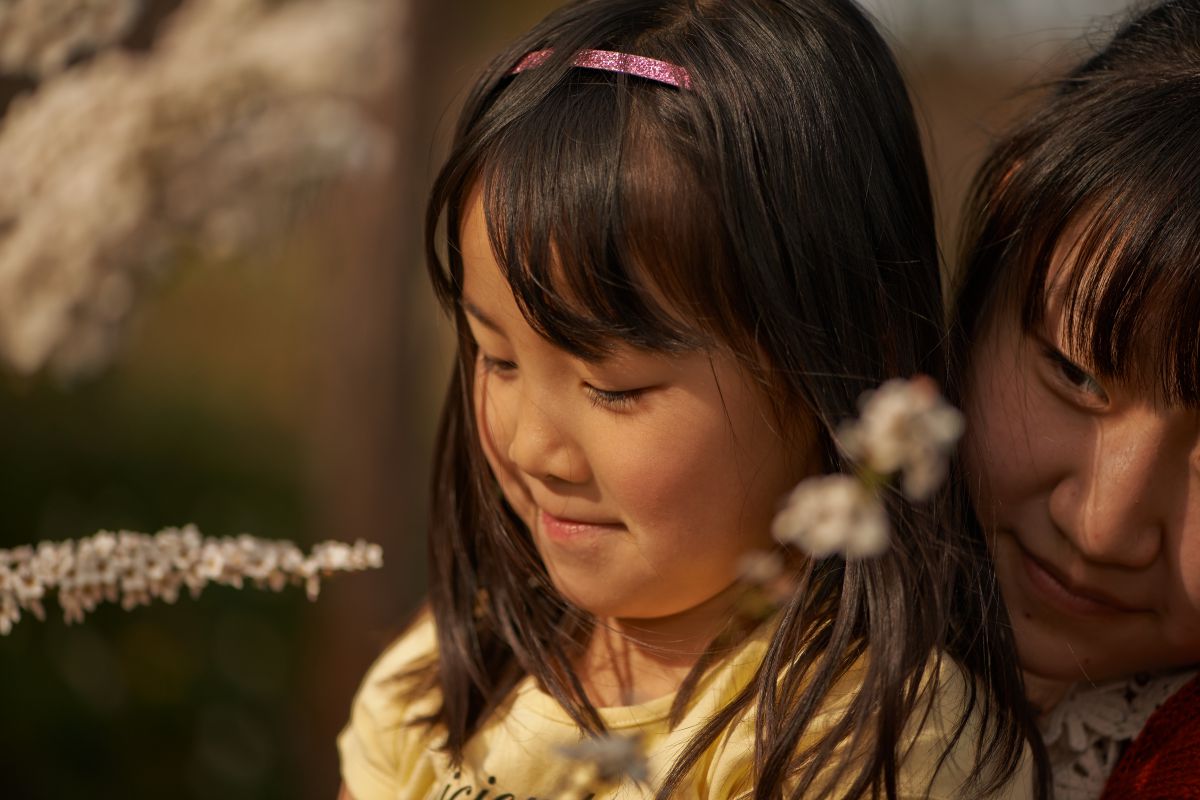 従兄弟同士 | GANREF