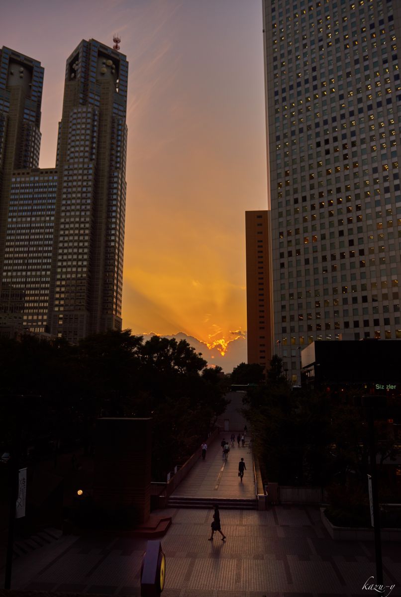 GO BACK HOME | GANREF