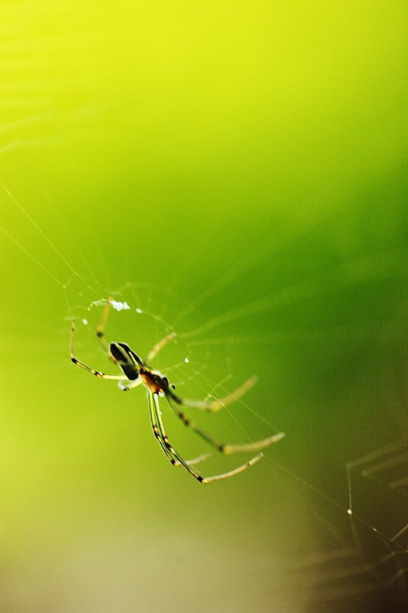 10_0703_高幡不動_005.JPG | GANREF