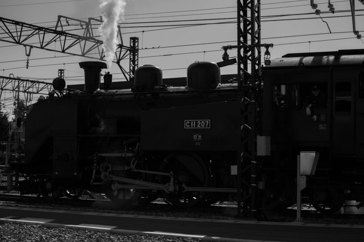 SL大樹 C11 | GANREF